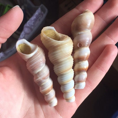 The Purple Nurple by Shellpipe free Pipes With Every Order Shell Pipe ...
