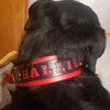 Firefighter Dog Collar Fireman Concho Dog Collar With Name - Etsy Canada