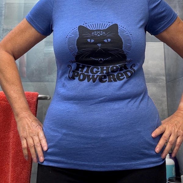 Black Cat AA Medallion Tshirt Alcoholics Anonymous Recovery Sponsor ...