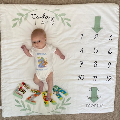 Cute Baby Monthly Milestone Personalised Bodysuits, Personalised Baby ...