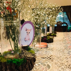 Peach Watercolor Clipart, Decorative Frame, Line, Leaf, Fruit, Divider ...