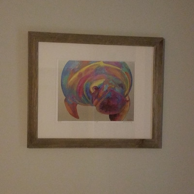 Hugh, Manatee, Florida, Springs, Ocean, Sea, Water, Zoo, Zoo Animal ...