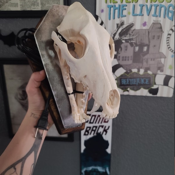 Hand Forged Iron Crown - Etsy