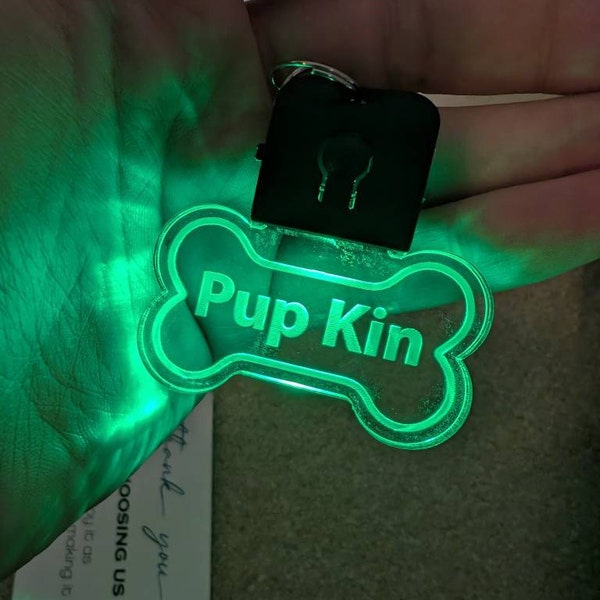 Human Pup Necklace - Light up Dog Tag - Color Changing - Stocking ...