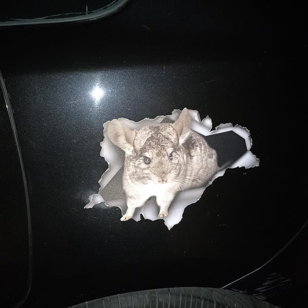 Schnauzer Car Sticker , Dog Car Decal, Schnauzer Decal, Car Decoration ...