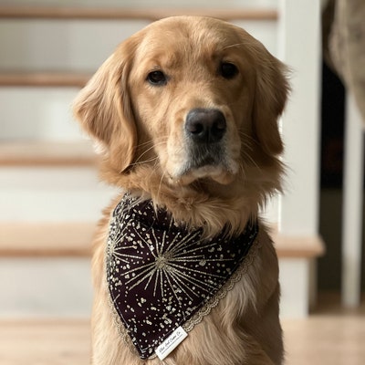 Toads and Mushrooms, toadally Fungi Cream Velvet, Forest, Reversible ...