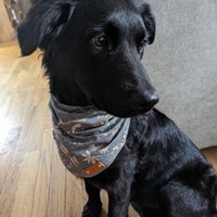 State of Michigan or Select Your State Pet Name Tag Medium 1 Max ...