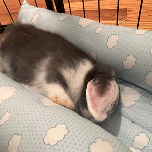 Bunny Snug Bed - Etsy