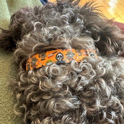 ACU Digital Camo Dog Collar by Swanky Pet - Etsy