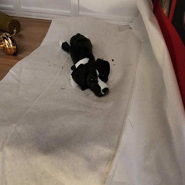 Turtle Fidget Clickers | Fruit Series Keychains and Sensory Toys | 3D ...