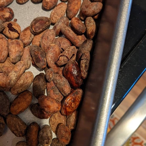 Raw Cacao / Cocoa Beans Chocolate Organic Arriba Nacional Bean 1 Oz to ...