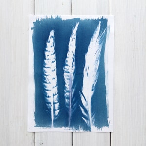 Cyanotype Kit Make Your Own Blueprints at Home - Etsy UK