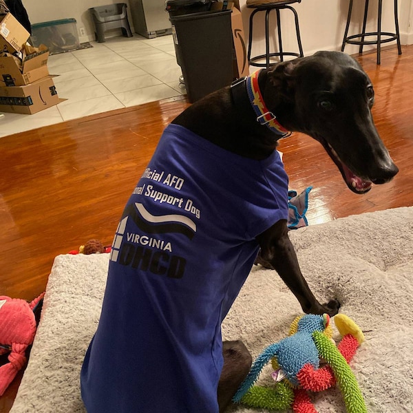 Personalized Dog Shirt, Custom Dog Shirt With Name or Logo, Funny Dog ...