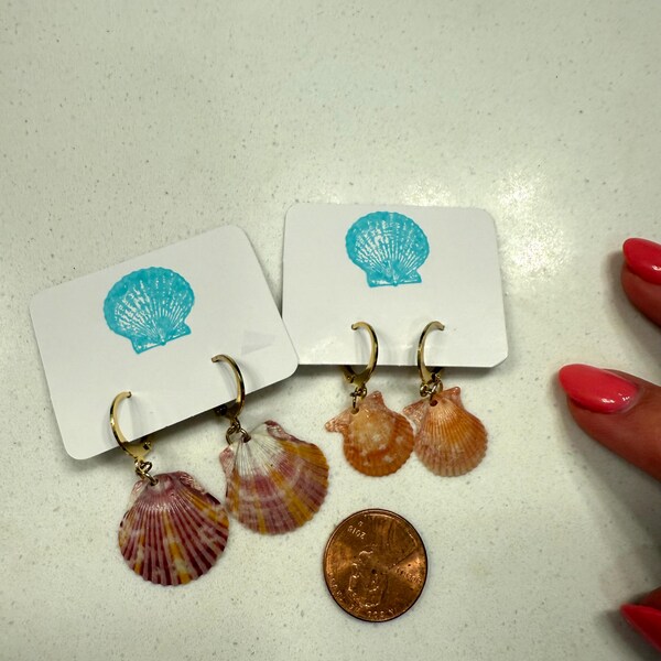 Seashell Frog With Fan, Frog Figurine, Seashell Art, Sanibel Island ...