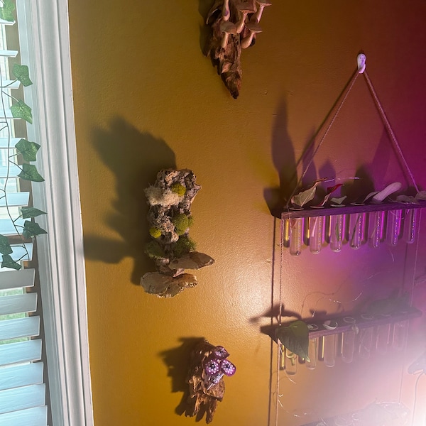 Floating Forest Art Gift, Moss on Cork Bark Natural Wall Decor ...