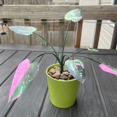 Paper Planter for Paper Plant SVG and PDF, Template Paper Pot DIY - Etsy