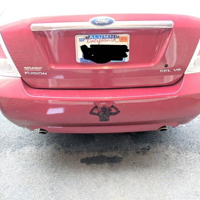 Overwatch Ana Champion Spray Art Action Laptop/window Printed Sticker ...