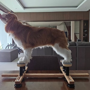 Airflow Dually Dog Crate Fans Compatible With Ruff Land / Ruff Tough ...