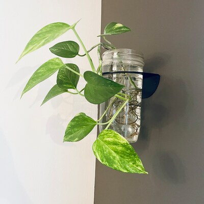 Air Ride Suspension Tank Mount Air Ride Trunk Tray All in One Bracket ...