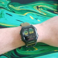 Casio Custom Hydro Mod Royale AE1200 Forest Royale 22mm Watch Black ...