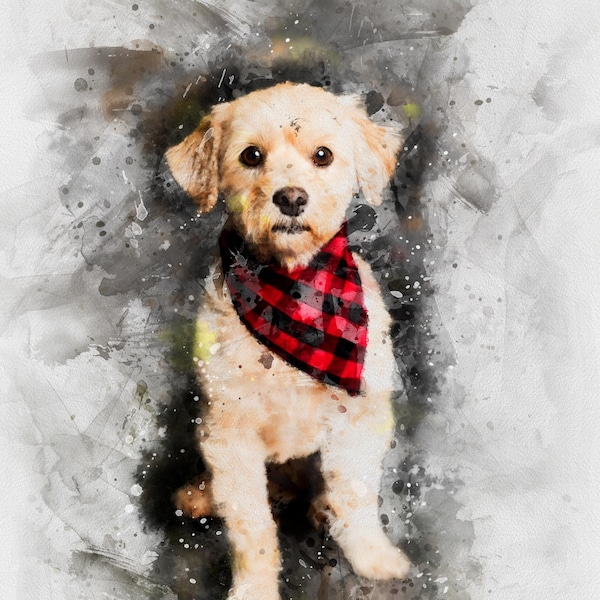 Flying Tulle Fabric Brushes for Photo Editing, Realistic Tulle Veil ...