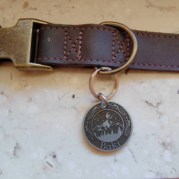Custom Engraved Viking-style Stainless Steel Pet ID Tag - Etsy