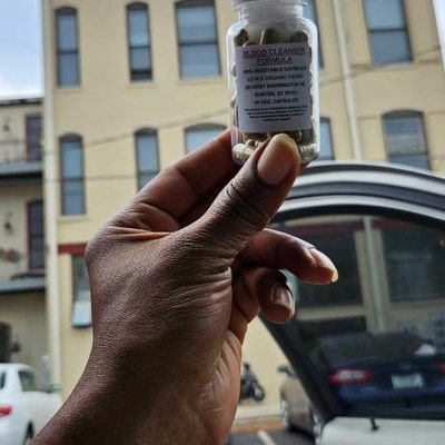 Che Tree Seeds cudrania Tricuspidata Packet of 5 Seeds Palm Beach Seed ...