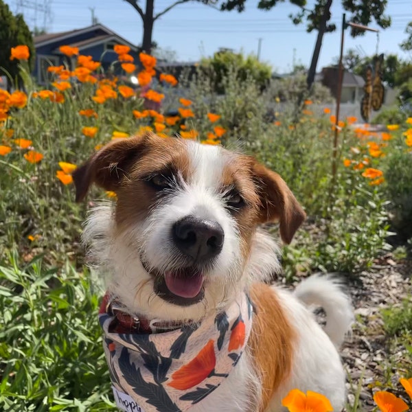 Daisy Garland Crochet Flower Bunner Kids Art Display Daisy Wall Decor ...