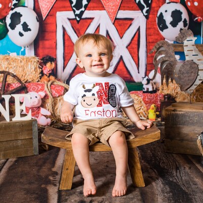 Baby Boy First Birthday Farm Shirt Baby Boy 1st Birthday Cow Outfit ...