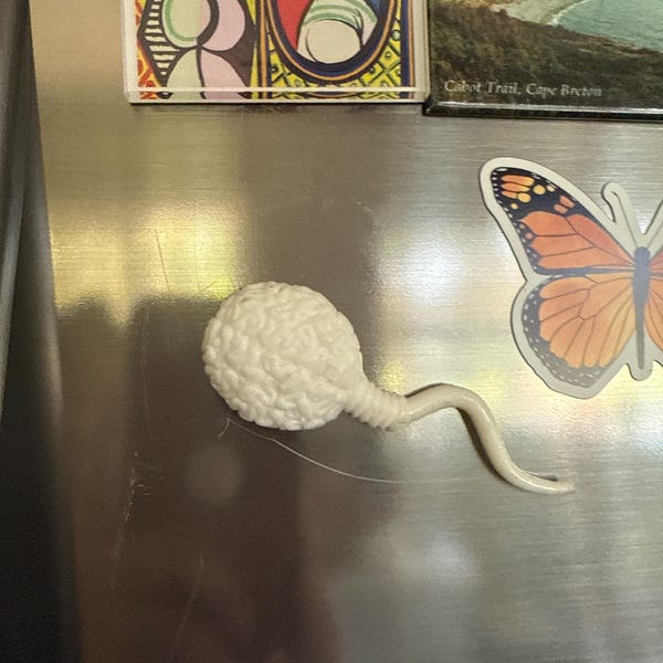 Lab Rat Socks Multipattern - Etsy