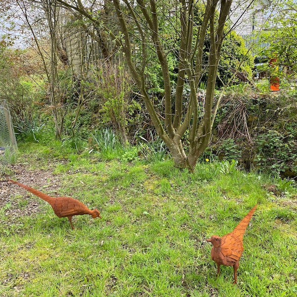 Metal Pheasant Garden Ornament Sculpture Art - Handmade Recycled Metal ...