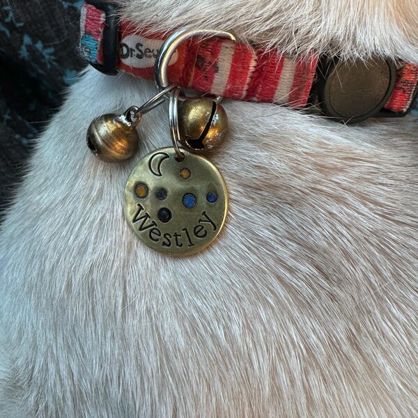 Pewter Pet Tag Organic Unique Special Rust-proof ID Tag Silver-tone ...