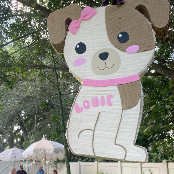 Capybara Piñata, Personalized Handmade Piñata, Birthday Gift, Family ...