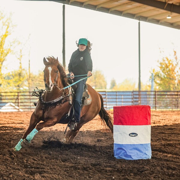 Custom Award Halters Bronc Noseband Personalize With Horse / Farm Name ...