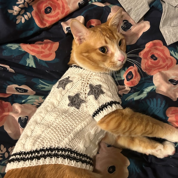 Hand Knitted Cat Sweater Midnights, Taylor Cat Cardigan, Handmade ...