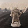 Elf Druid Miniature Wild Mage Mini Dungeons and Dragons Mini RPG ...