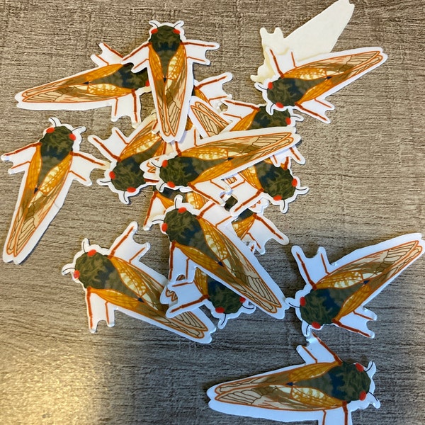 4 Piece Cicada Sticker Set, Life-sized Cicada Stickers, Cicada Stickers ...