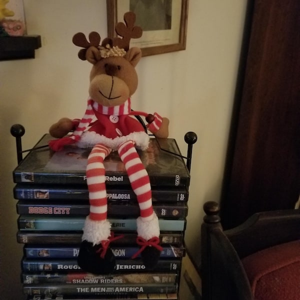 Moss Rose Plant (portulaca Grandiflora)( Ice Plant Succulent) Trailing ...