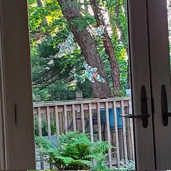 Window Gems Rainbow Prism Birds Static Window Clings Alert Birds to ...