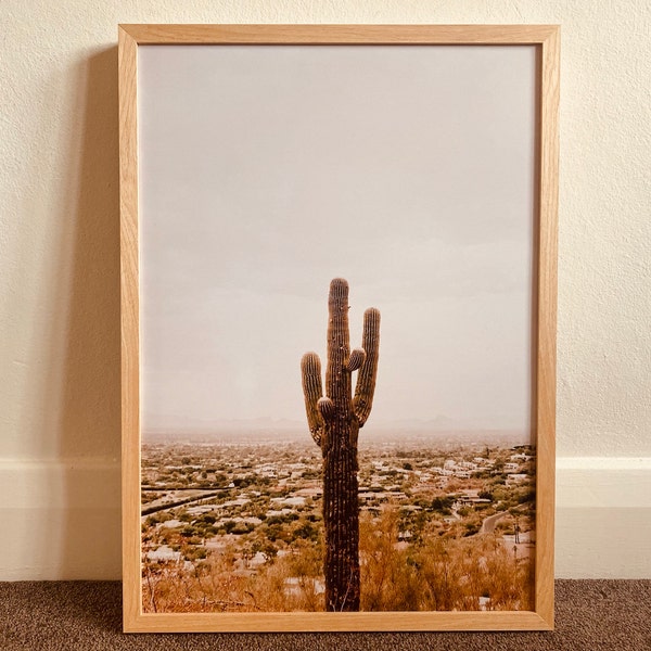 Single Saguaro in Summer Desert, Scottsdale Cactus Print, Desert ...