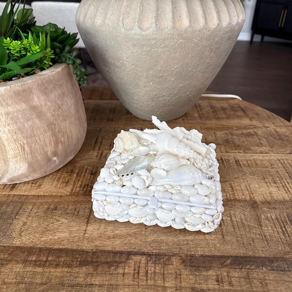 Authentic Barnacle Clusters for Coastal and Beach Decor, Nautical ...