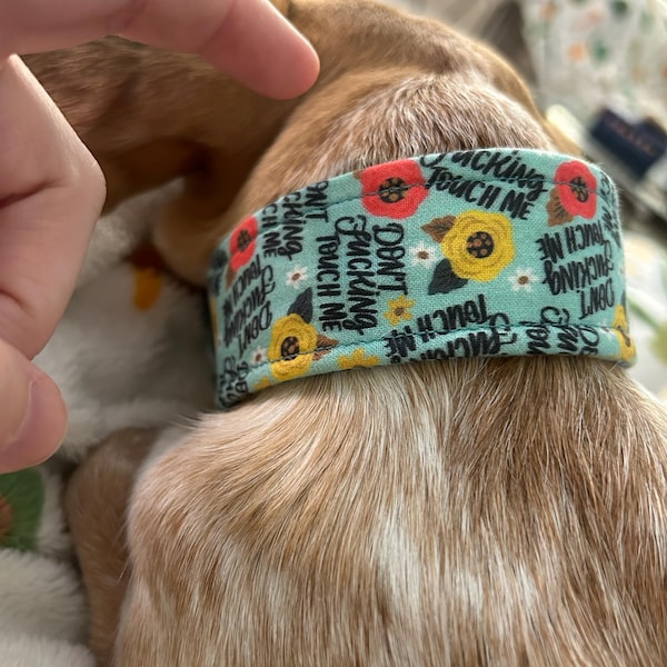 Dog Collar/fresh Out of Fus Dog Collar/ Flower Dog Collar/ Cussing Dog ...