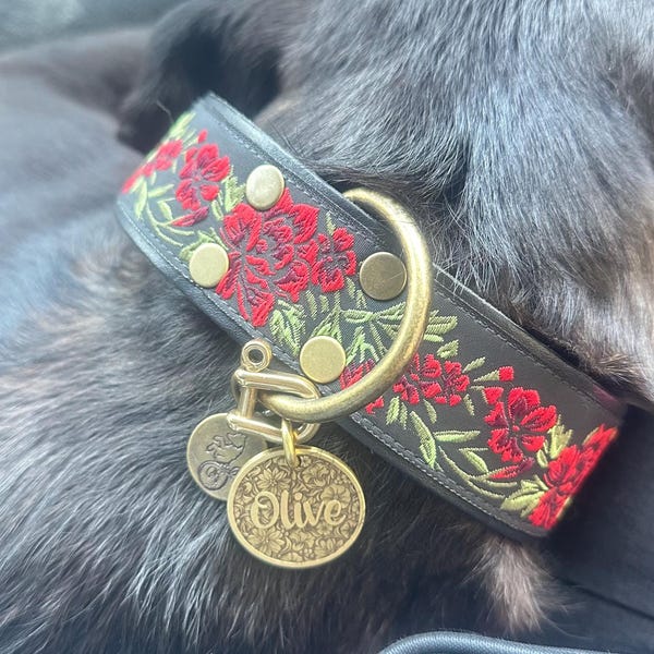 Dog Neck Band With Name. Custom Pet Id. Engraved Dog Collar. Custom Cat ...