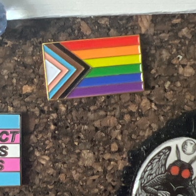 Transgender Ally Flag 1 Lapel Pin Badge LGBT LGBTQ Trans Tran Equality ...