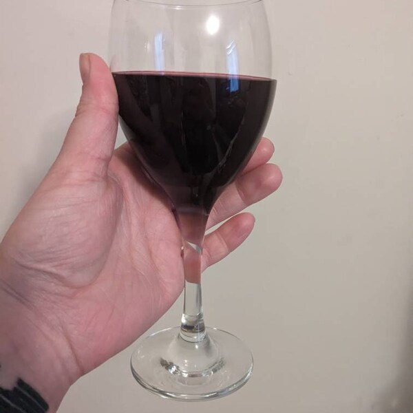 Realistic Fake Turkey - Etsy