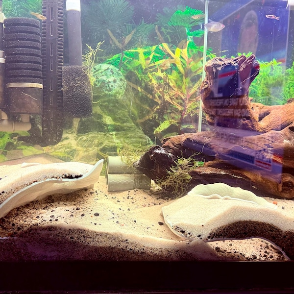 Spacious Corner Aquarium Terrarium Cave – Elevated Hideout for Fish ...
