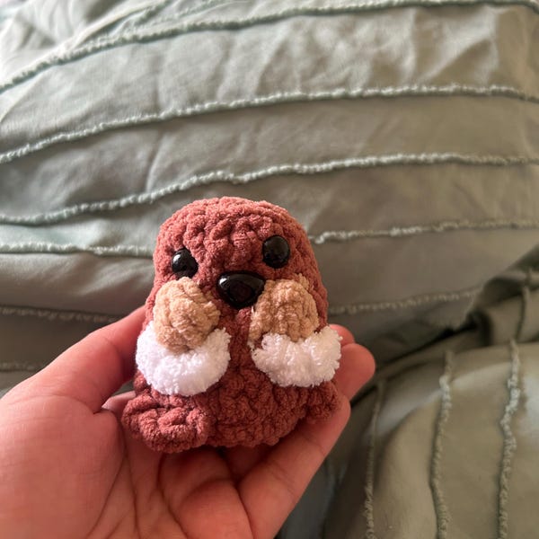 Mini Hammerhead Shark - Etsy