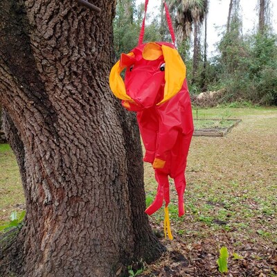 Duck Windsock - Etsy