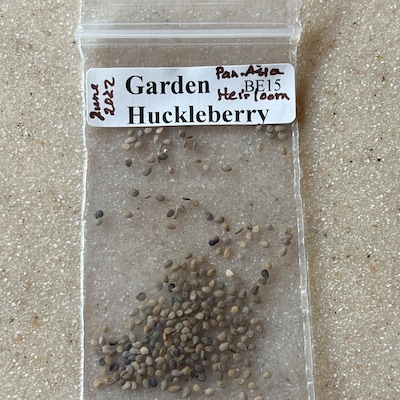 200-1000 GARDEN HUCKLEBERRY Seeds Solanum Melanocerasum - Etsy