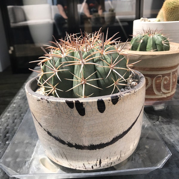Handcrafted Raku Ceramic Planter Pot With Drainage Hole 6 X 4 Inches 24 ...